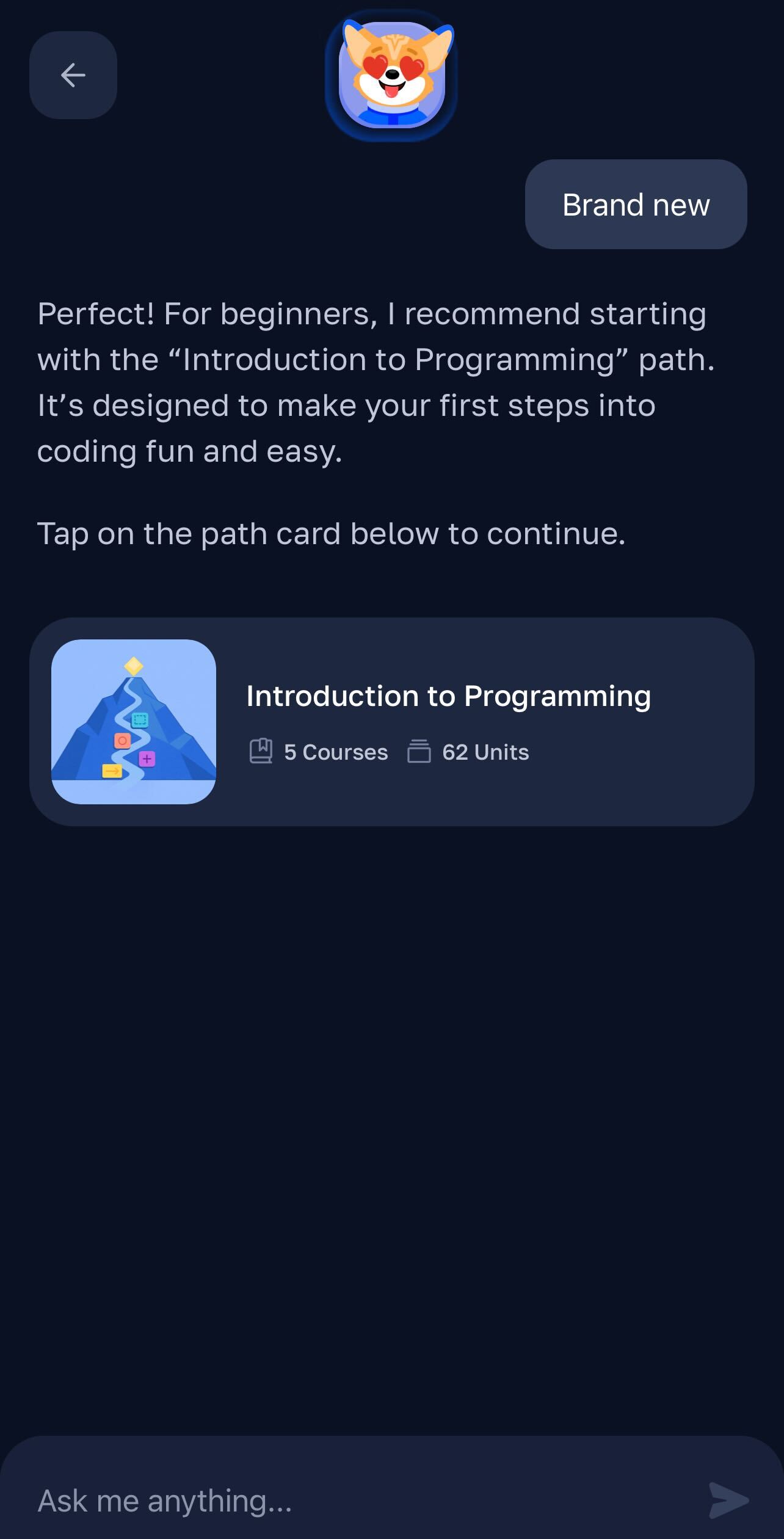 How do I navigate my Cosmo app? – CodeSignal Knowledge Base